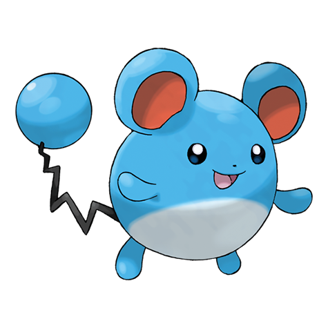 Azumarill Pokédex (#184)